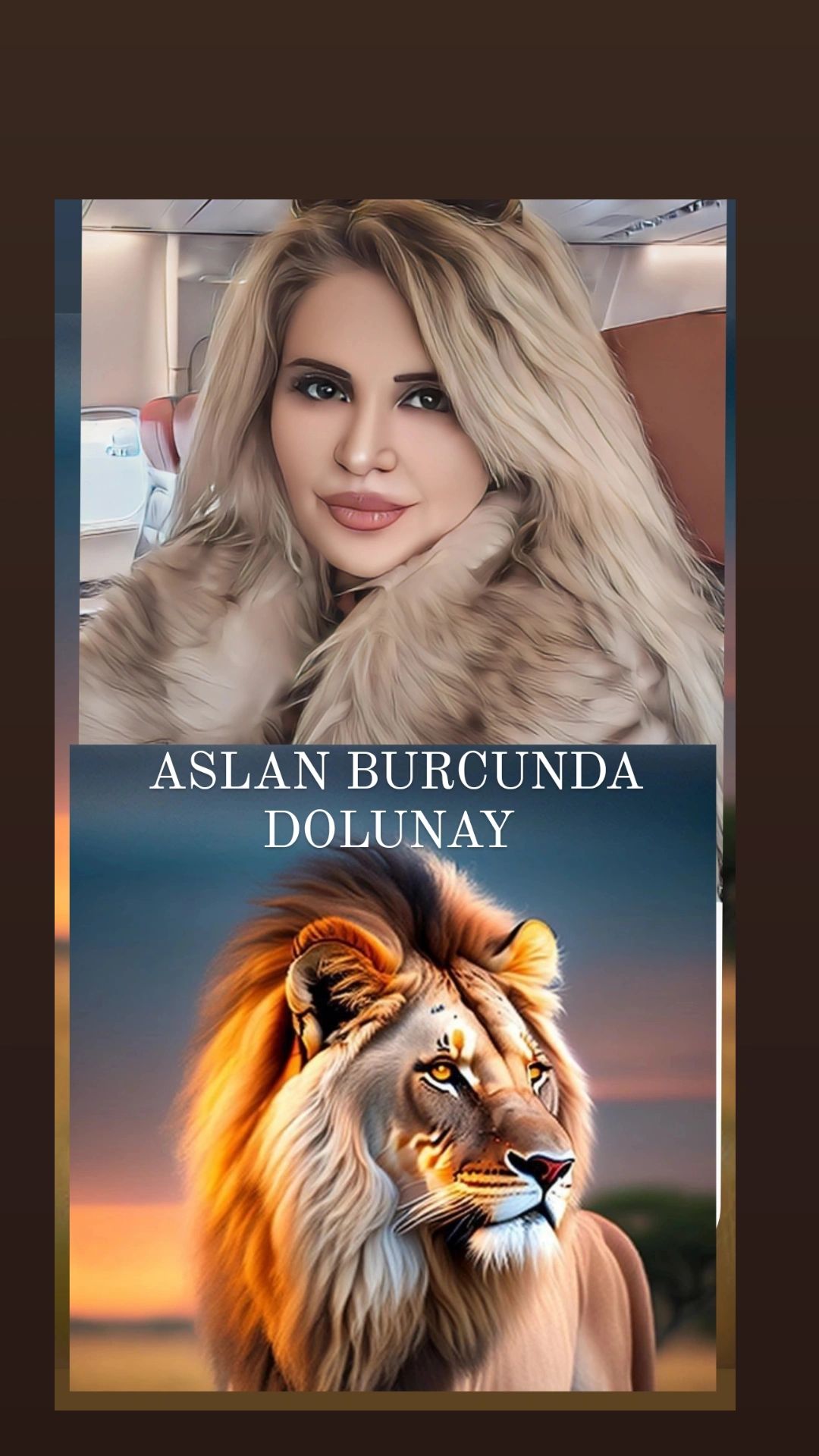 ASLAN DOLUNAYI